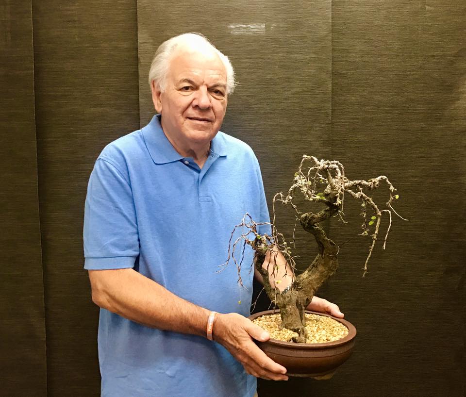 Ed Trout: USA – Bonsai Angels