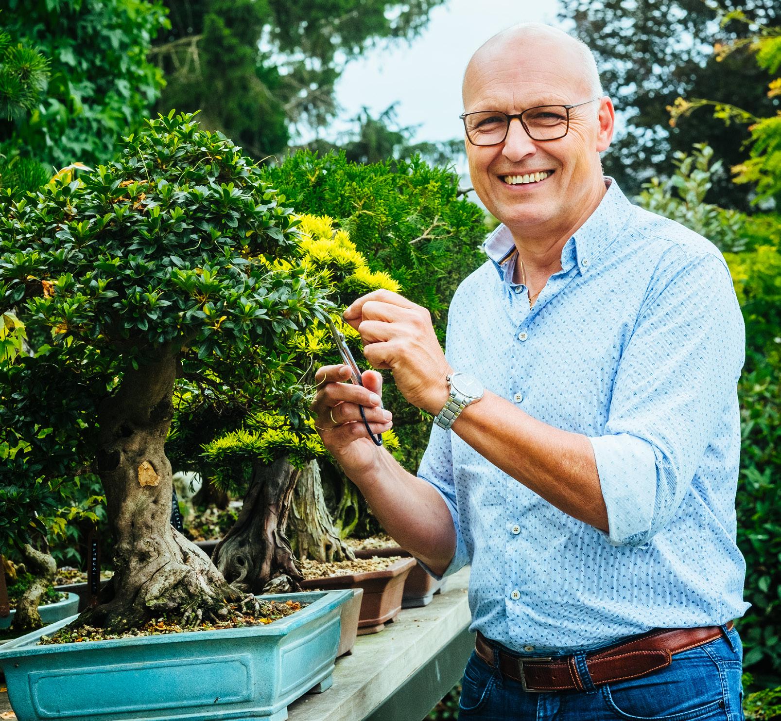 Luc Nagels belgium – Bonsai Angels
